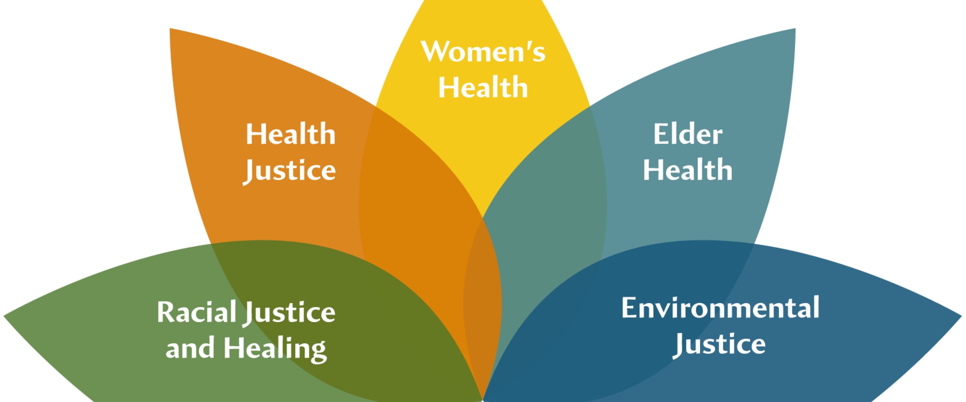 Indianapolis Wellness Centers: Embracing a Holistic Approach to Health